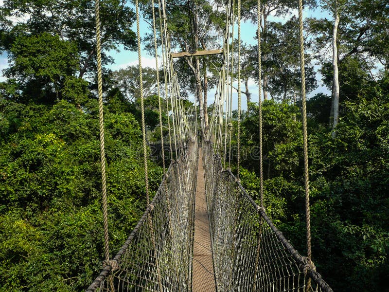Ghana Kakum National Park Stock Photos - Free & Royalty-Free Stock ...