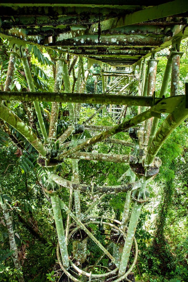 Canopy Walk Tower in the Rainforest Discovery Centre in Sepilok, Borneo ...