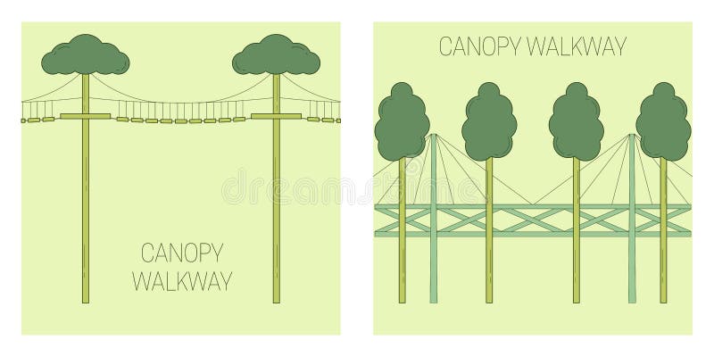 Canopy walk way. stock vector. Illustration of canopy - 116881543