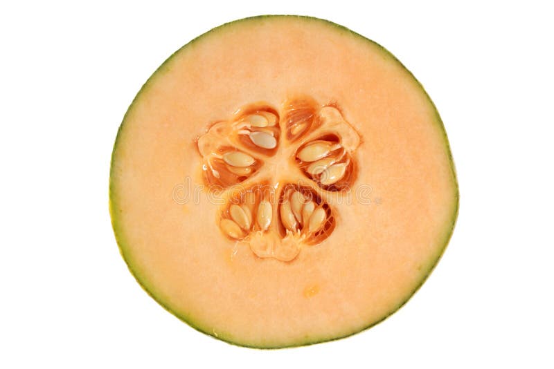 Cantaloup photo stock. Image du nutritif, produit, pastèque - 8443880
