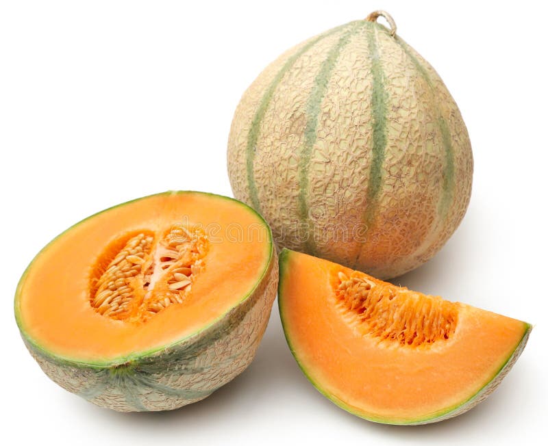 Cantaloupe or rockmelon stock photo. Image of isolated - 267810084