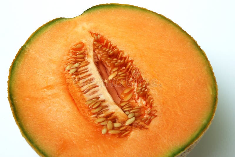 Cantalupo immagine stock. Immagine di cancro, alimento - 5515987