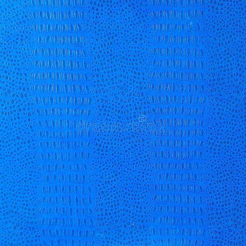 Blue Rugh Stock Photos - Free & Royalty-Free Stock Photos from Dreamstime