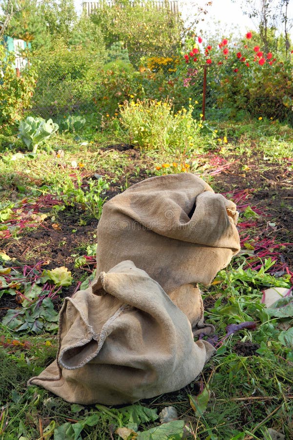 Canvas bags stock photo. Image of gift, macro, agriculture - 21331394