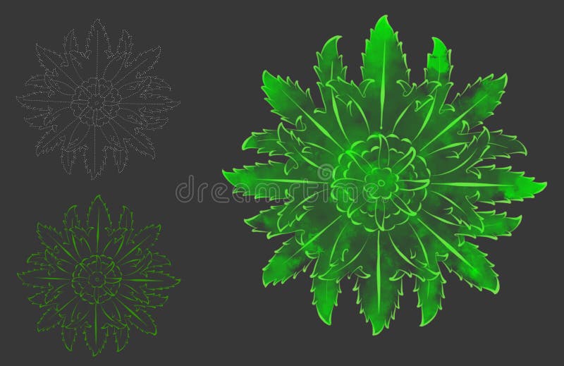 Canvas Floral Graphic Design. Traditional Flower Stock Illustration ...