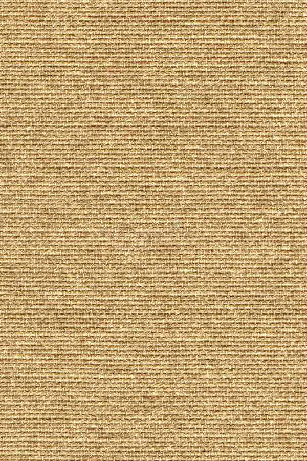 Canvas with a Large Texture Stock Photo - Image of blank, thread: 11981962