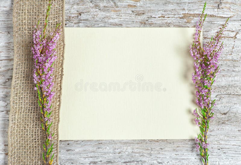 Canvas Met Heide En Het Ontslaan Lint Stock Foto - Image of linnen ...