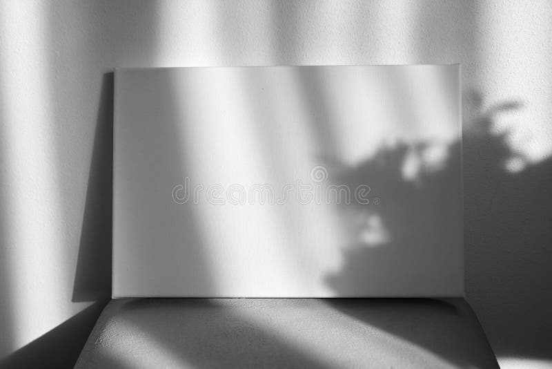 Canvas Mockup on Shelf on White Wall with Shadows. White Canvas, Blank ...