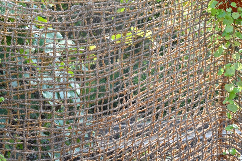 Canvas Rope Mesh Under Sunlight Stock Photo - Image of canvas, texture ...