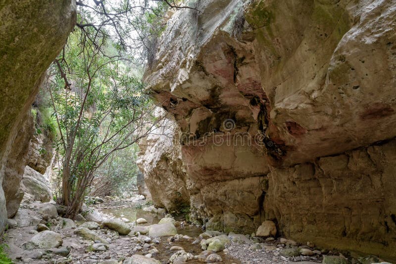 Canyon of Avakas in Cyprus stock photo. Image of dangerously - 113681200