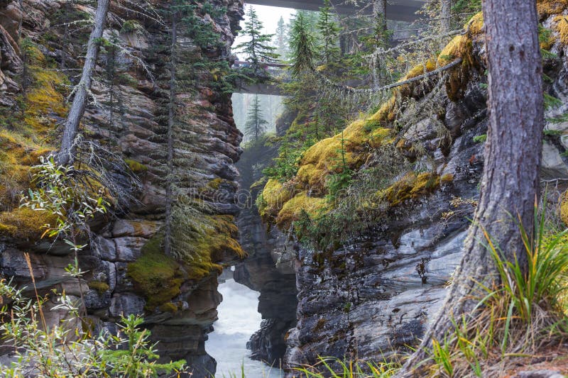 Canyon stock image. Image of ravine, narrow, environment - 270480173
