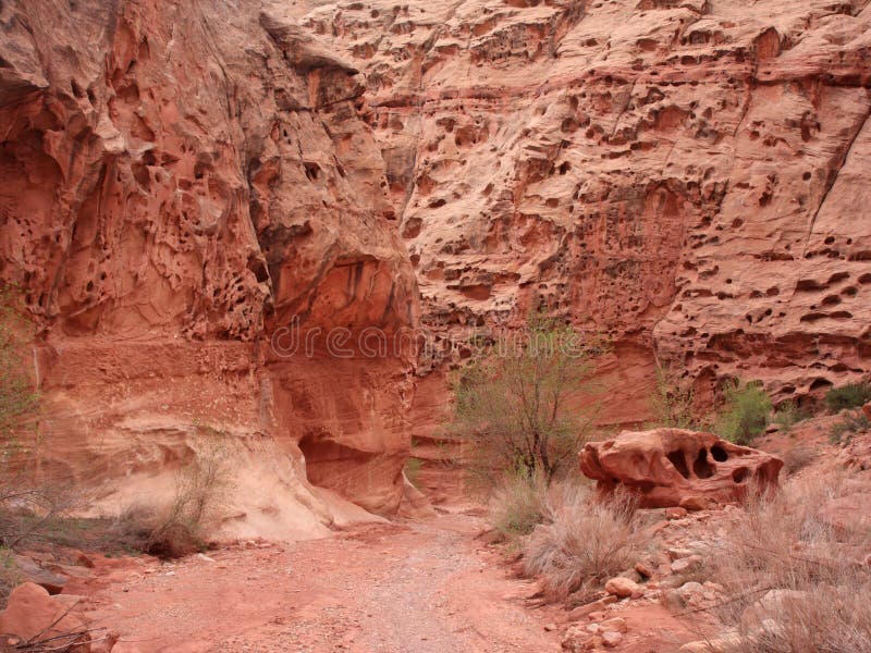 Canyon in Capitol Reef Park Stock Image - Image of utah, reef: 14420297