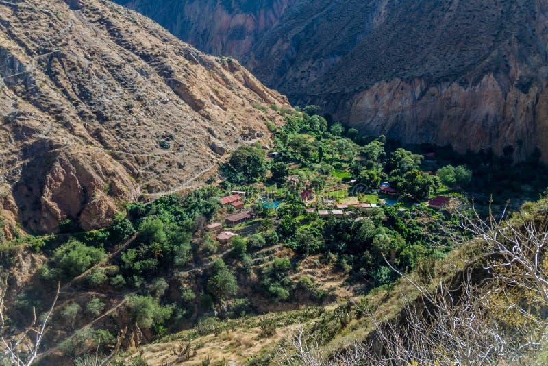 Canyon Colca stock photo. Image of aerial, outdoor, mountain - 132311900