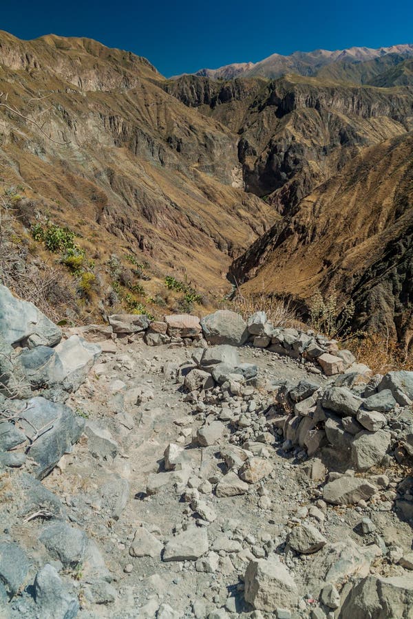 Canyon Colca stock photo. Image of remote, peru, canyon - 132311374