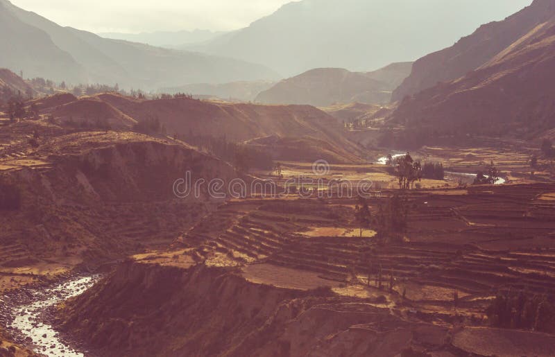 Colca canyon stock photo. Image of awesome, colca, deep - 100768326