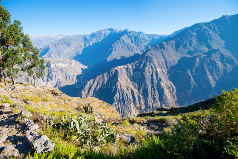 Canyon of the Colca River in Southern Peru Stock Image - Image of colca ...