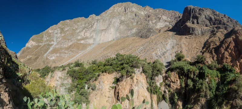 Canyon Colca stock photo. Image of cacti, hills, nature - 132311844