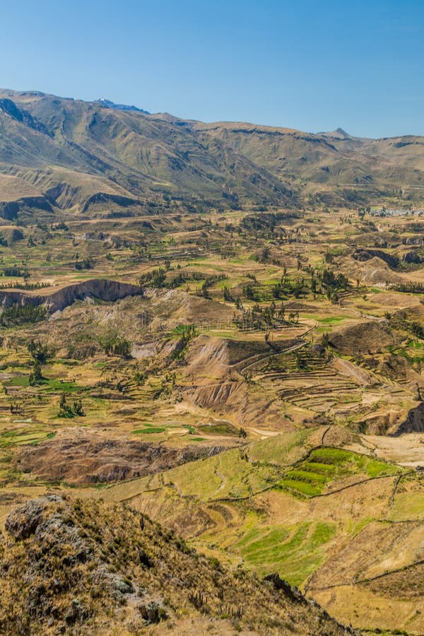 Canyon Colca stock image. Image of nature, tourism, agriculture - 132313477