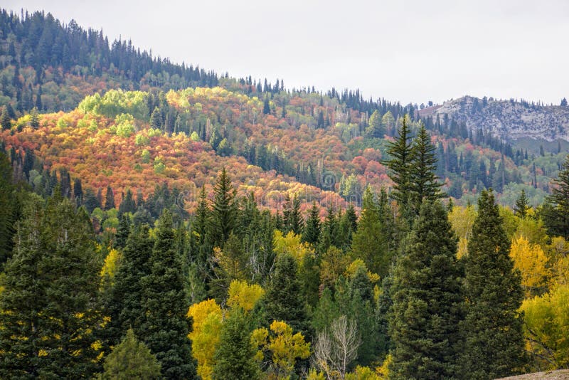 Canyon colors for fall stock photo. Image of colors - 185871112
