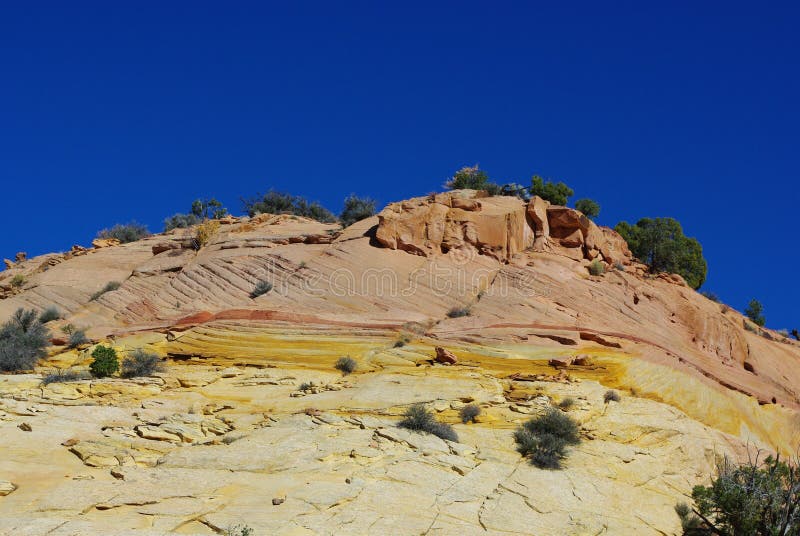 Canyon colors, Utah stock image. Image of escalante, bush - 28118171