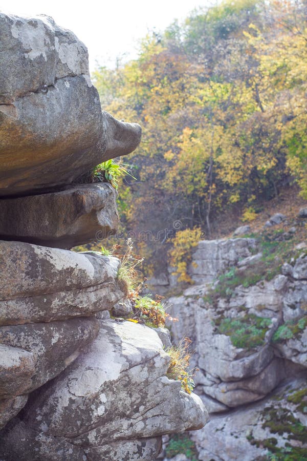 Canyon in the fall stock image. Image of nature, creek - 129902619