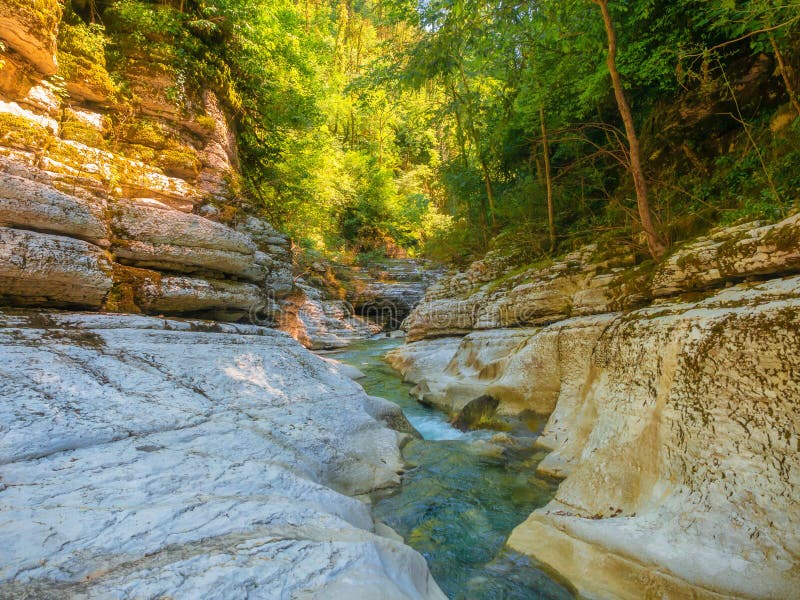Canyon Gorge with Bright Green Trees Lit by the Sun and a Clear River ...