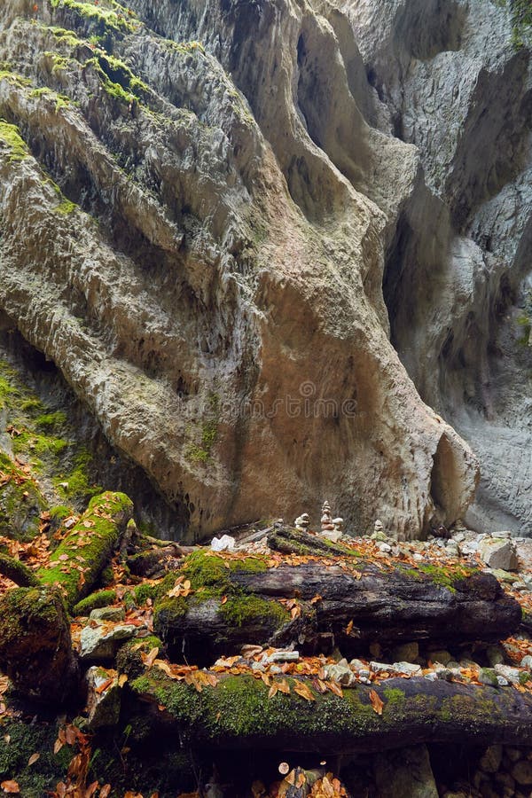 Canyon Landscape in the Fall Stock Photo - Image of moss, fall: 133151392