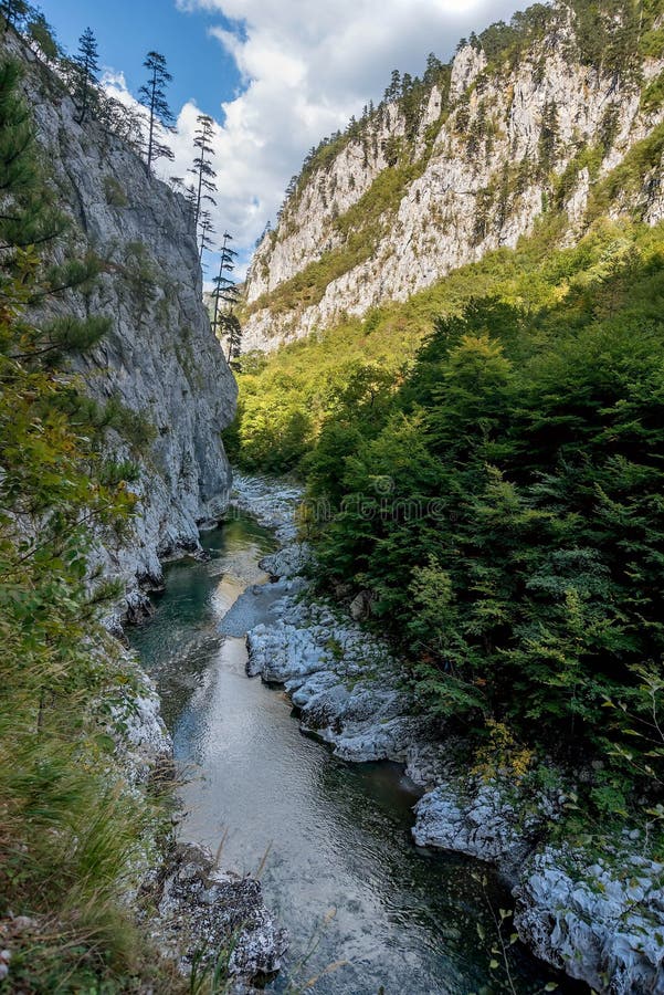 Canyon of the Moraca River. Montenegro Stock Image - Image of flow ...