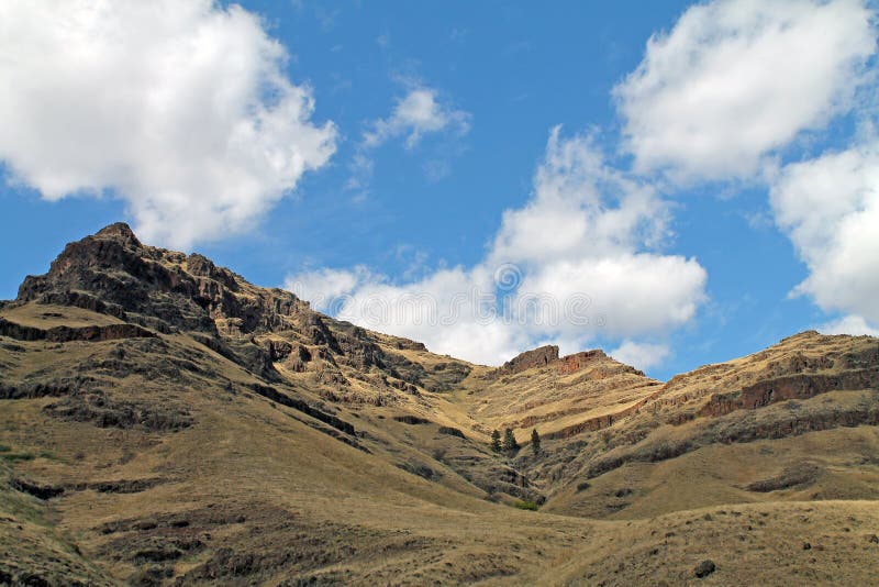 Canyon in Oregon Under a Blue Sky with White Clouds Stock Photo - Image ...