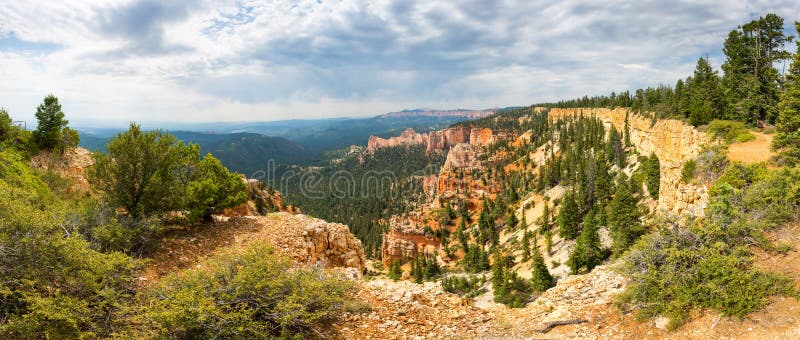 Canyon with pine trees stock image. Image of erosion - 84108899