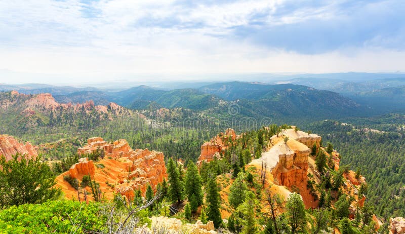 Canyon with pine trees stock image. Image of landmark - 84943785