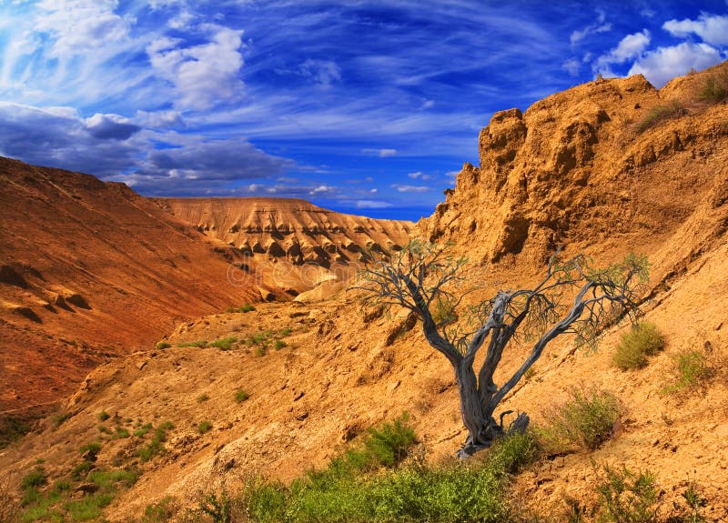 Canyon Plateau Ustyurt in Kazakhstan Stock Image - Image of ustyurt ...