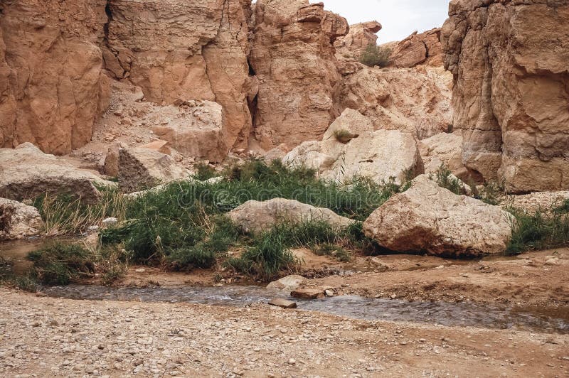 Canyon in Tamerza Oasis, Tunisia Stock Photo - Image of tozeur, natural ...