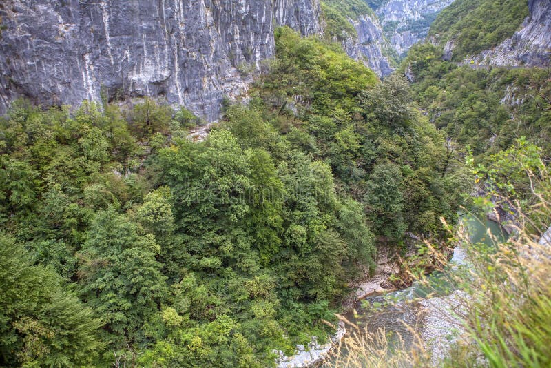 Valley of Tara river stock photo. Image of national - 152506794
