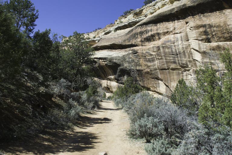 Canyon trail stock image. Image of hiking, paths, colorful - 2599723