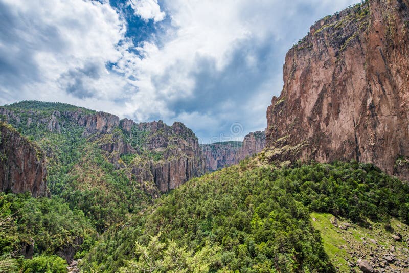 Canyon and trees stock image. Image of autumn, sunny - 98408353