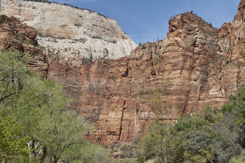 Canyon walls stock photo. Image of park, steep, rock - 141314680