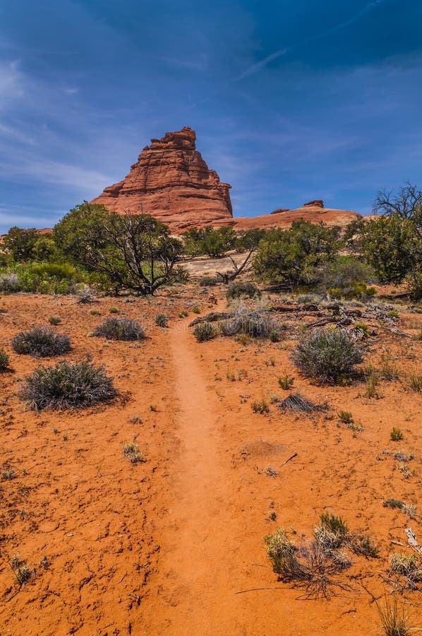 Canyonlands Landscape stock image. Image of trail, needles - 32271229