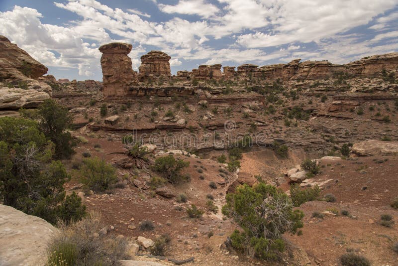 Canyonlands Needles District Stock Photo - Image of formations ...