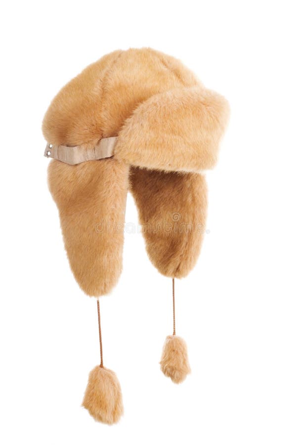 Flaps Up stock image. Image of flying, wing, beak, wildlife - 8470479