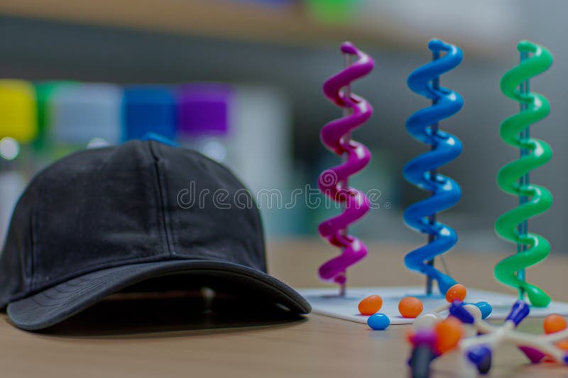 Cap Next To a Model of Dna Structure for a Biology Major Stock Image ...