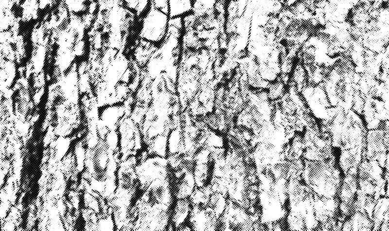 Capa De Semitono De Madera De La Textura Fondo Del Vector Ilustración ...