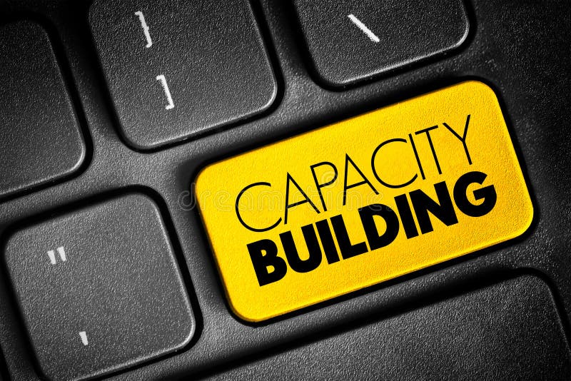 Capacity Building - Improvement in an Individual or Organization S ...