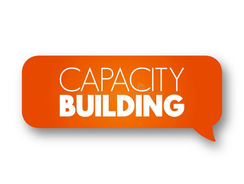 Capacity Building - Improvement in an Individual or Organization S ...