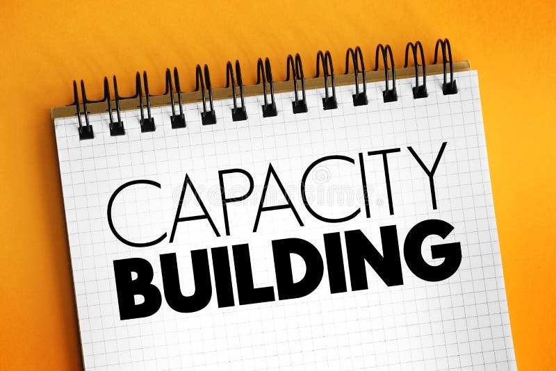 Capacity Building - Improvement in an Individual or Organization`s ...