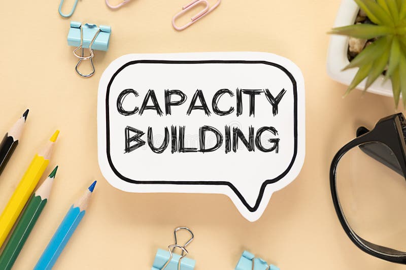 Capacity Building - Improvement in an Individual or Organization`s ...