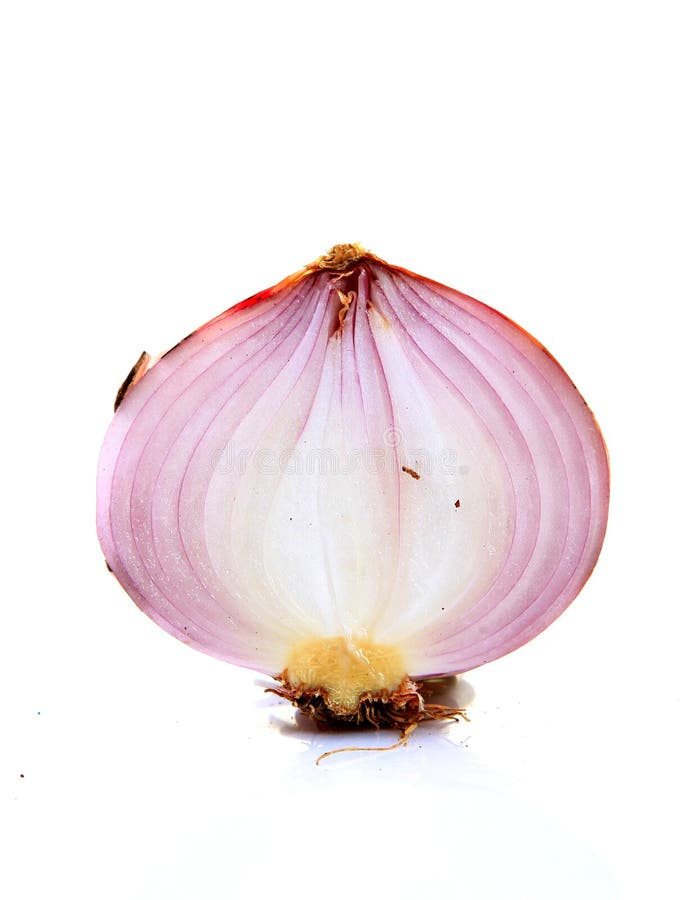 Capas de la cebolla imagen de archivo. Imagen de piel - 20181487