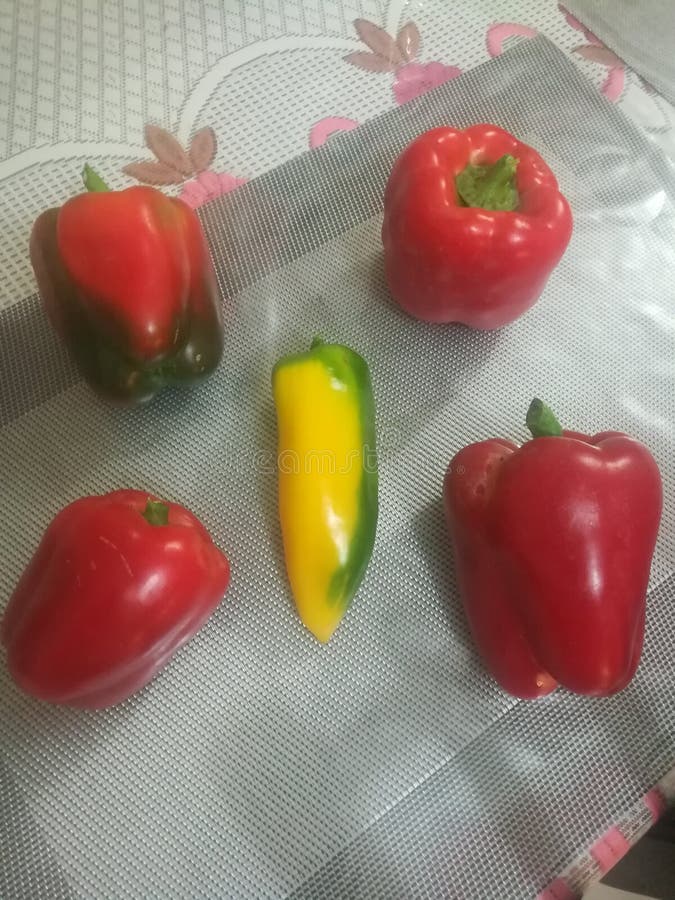 454 Capcicum Photos - Free & Royalty-Free Stock Photos from Dreamstime