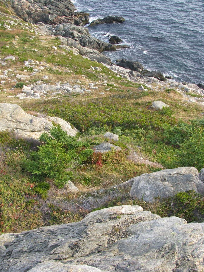 Cape Breton Rocks 2 stock photo. Image of grass, windy - 76713434