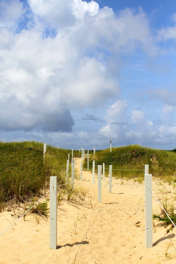 Cape Cod stock photo. Image of beach, path, massachusets - 27534532
